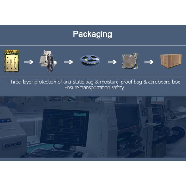 China Lorawan Protocol Lora Transceiver Module Wireless Iot Cansec