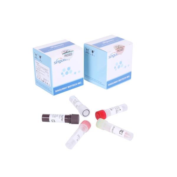 China 15 Types HPV Real Time PCR Kit 40uL Qualitative HPV PCR Kit For ...