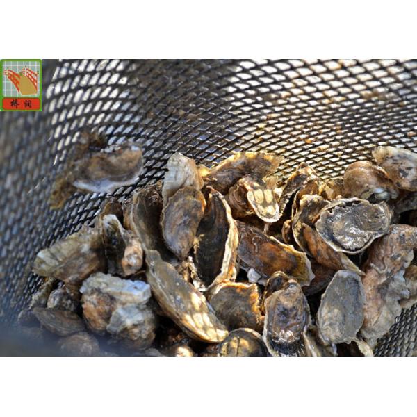 China Heavy Duty Extruded Aquaculture Netting Oyster Mesh HDPE ...